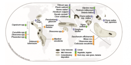 Review: The domestication syndrome in vegetatively propagated field ...