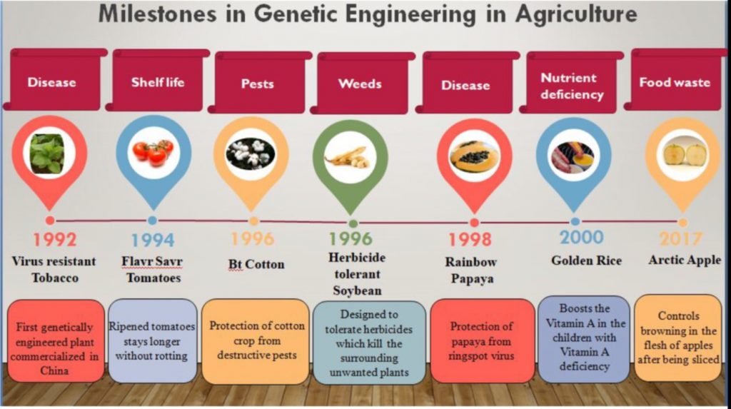 The Future of Our Food Systems: Insights into GMOs | Plantae