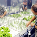 Plant Science Careers in Space Biology | Plantae