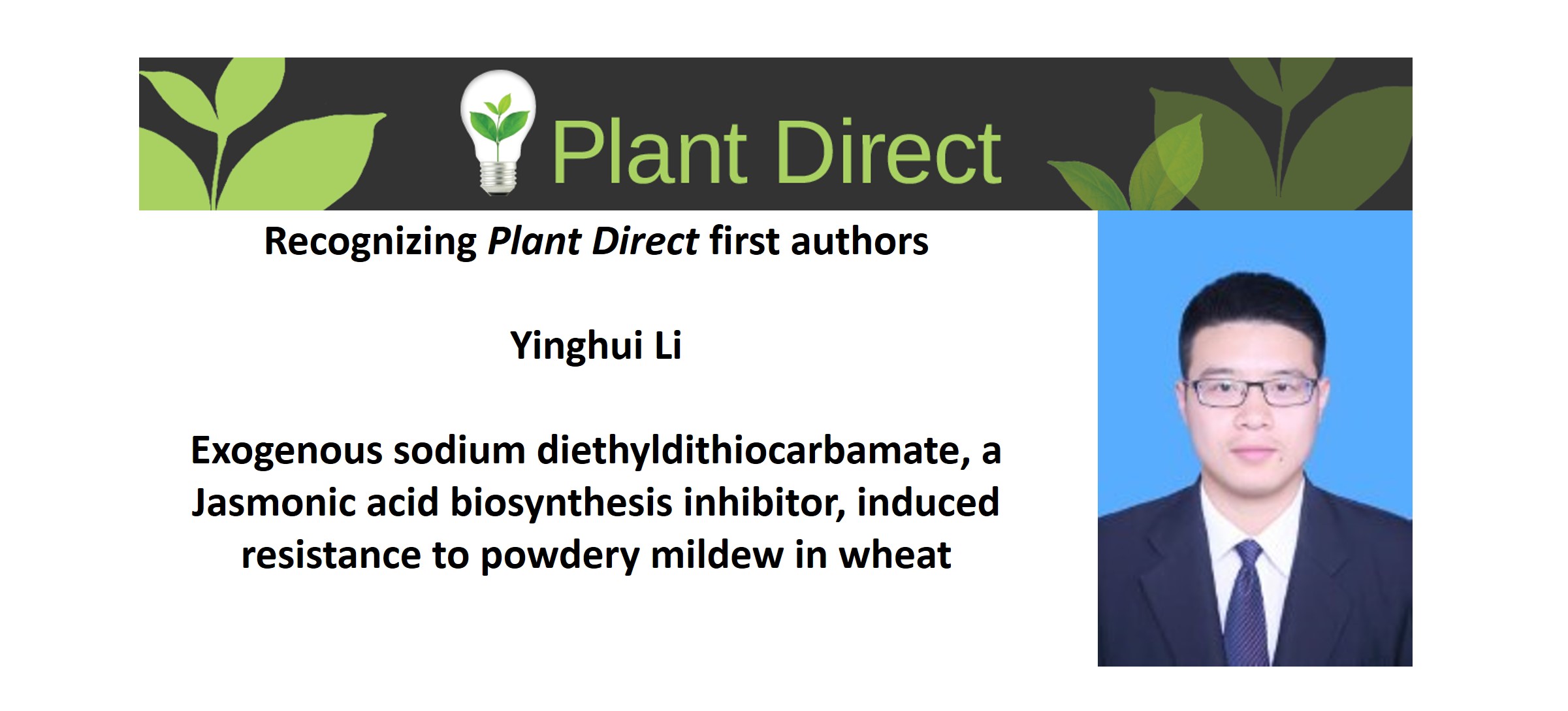 Recognizing Plant Direct authors: Yinghui Li | Plantae