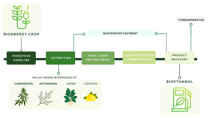 Accumulation of high value bioproducts in planta can improve the ...