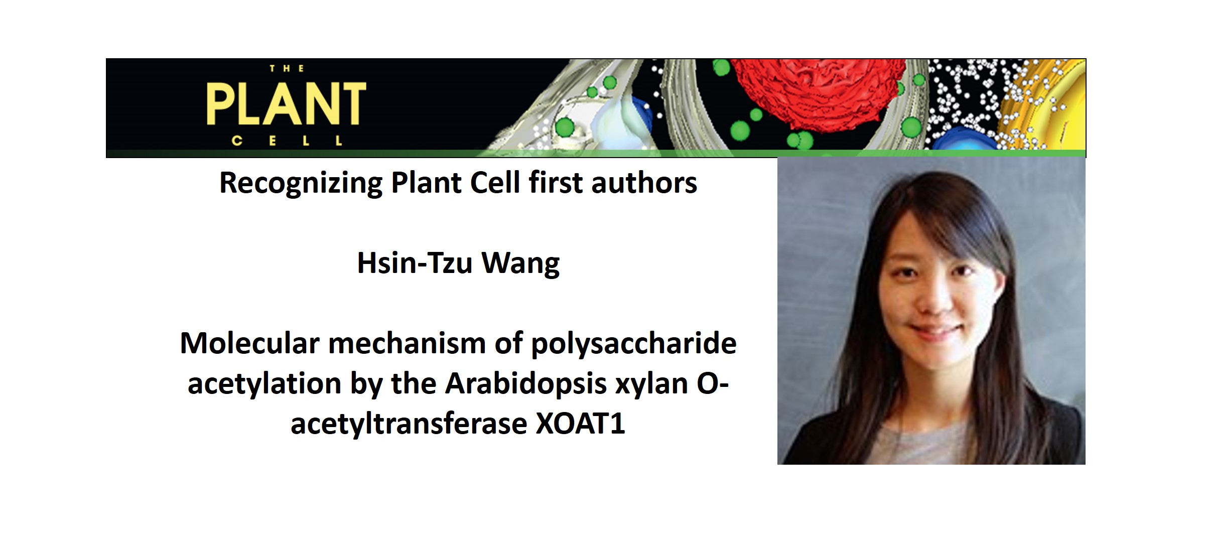 Recognizing Plant Cell authors: Hsin-Tzu Wang | Plantae