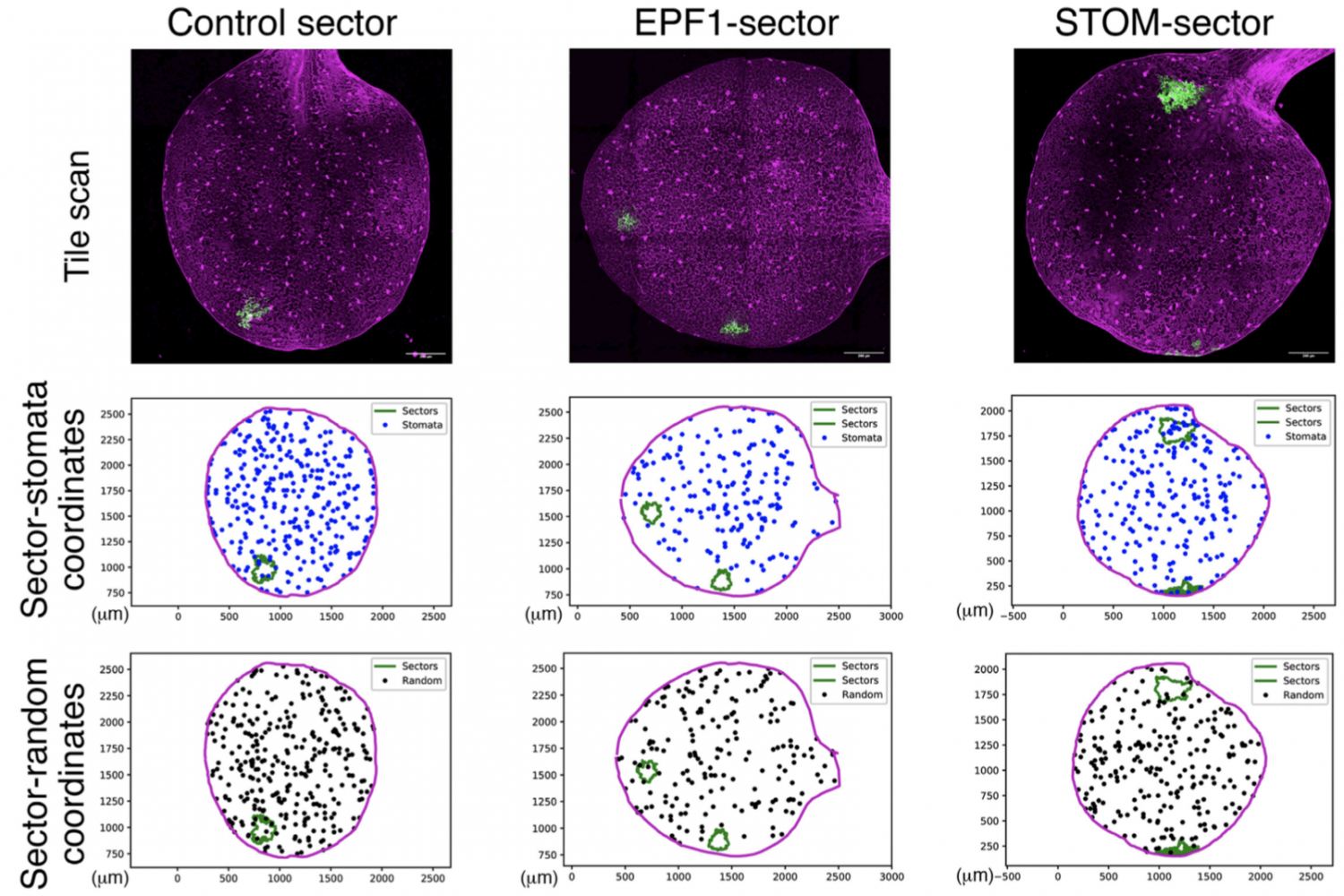 Plant Science Research Weekly: May 22nd | Plantae