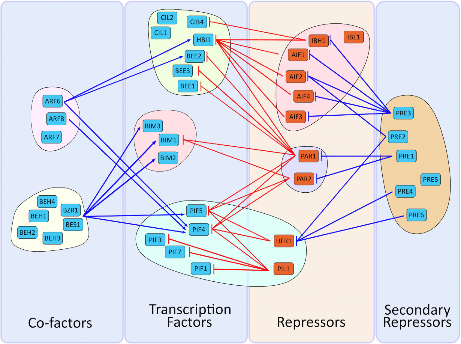 Review: The bHLH network underlying plant shade-avoidance (Physiol ...