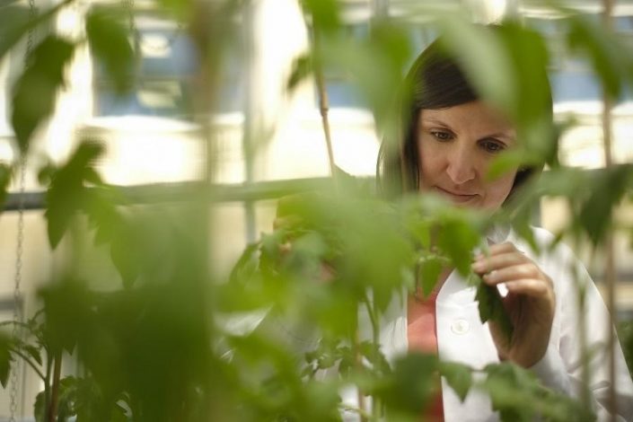 New Teaching Tool, “Three-Way Interactions between Plants, Microbes ...