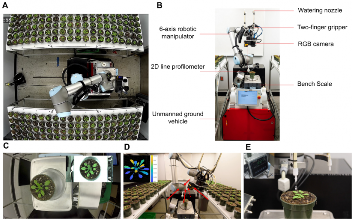 Plant Science Research Weekly: June 19th | Plantae