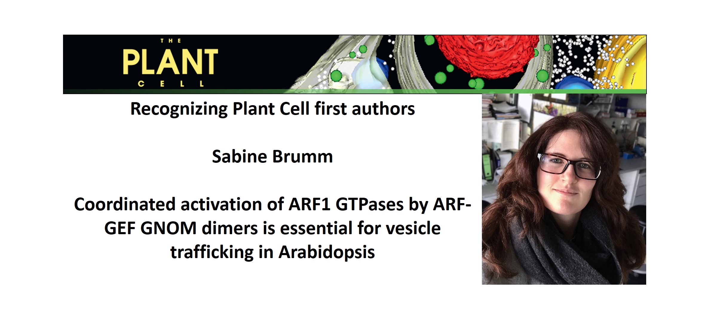 Recognizing Plant Cell authors: Sabine Brumm | Plantae