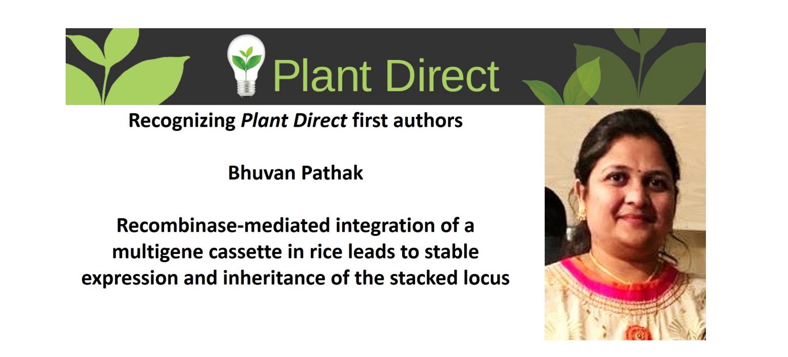 Recognizing Plant Direct authors: Bhuvan Pathak | Plantae