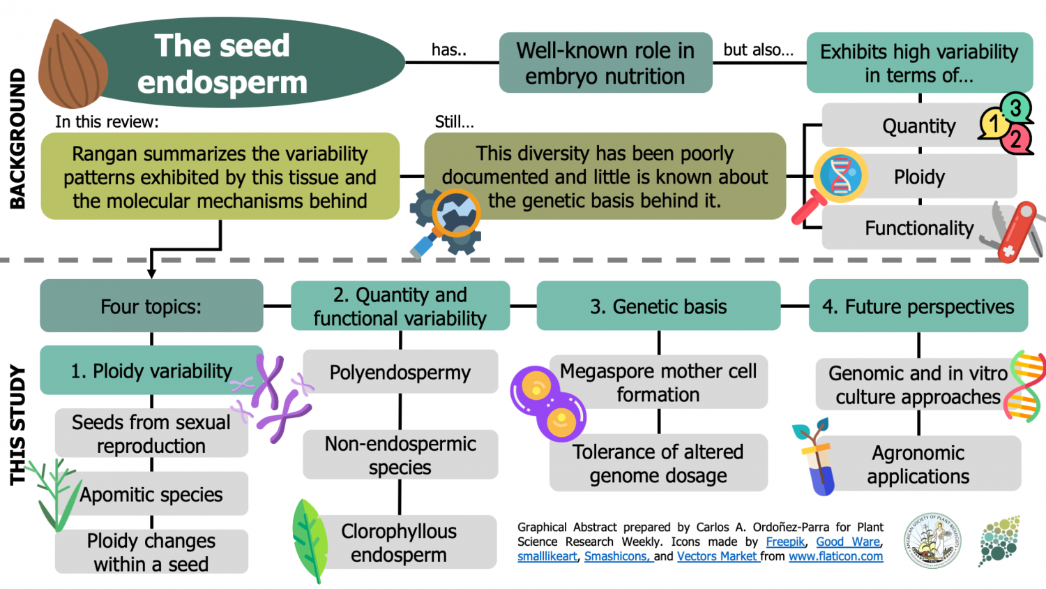 Review. Endosperm variability: From endoreduplication within a seed to ...