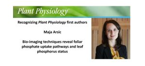 Recognizing Plant Physiology authors: Maja Arsic | Plantae