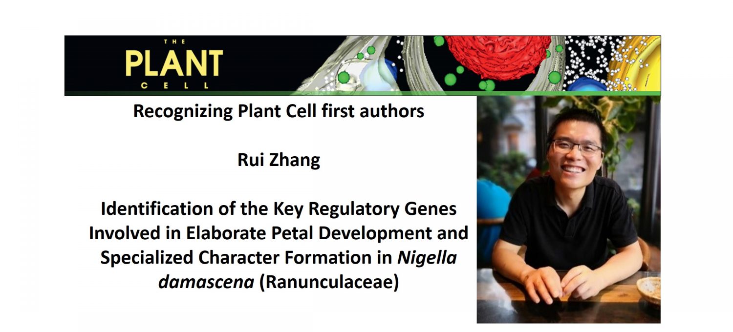 Recognizing Plant Cell authors: Rui Zhang | Plantae