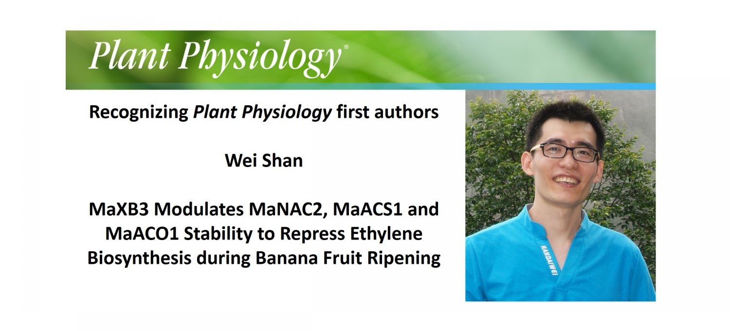 Recognizing Plant Physiology authors: Wei Shan | Plantae