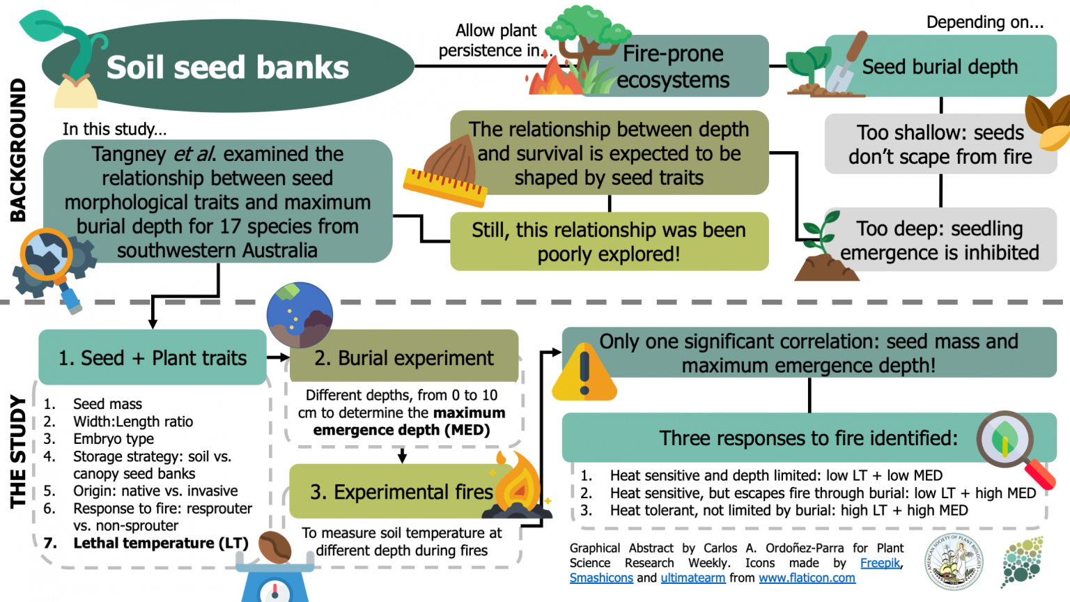 Seed traits determine species responses to fire under varying soil ...