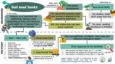 Plant Science Research Weekly: July 17, 2020 | Plantae