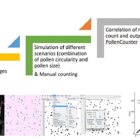 Optimizing PollenCounter for high throughput phenotyping of pollen ...
