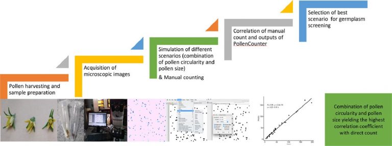 Optimizing PollenCounter for high throughput phenotyping of pollen ...