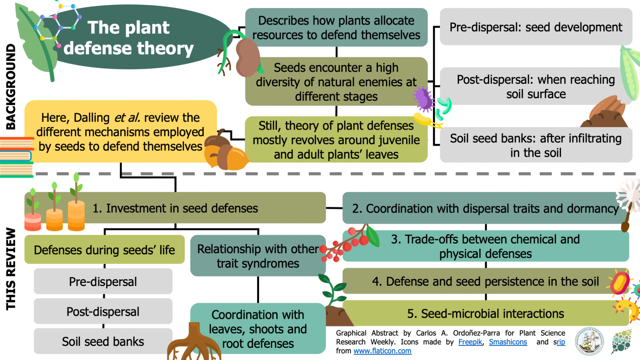 Review: Extending Plant Defense Theory to Seeds (Annu. Rev. Ecol. Evol ...