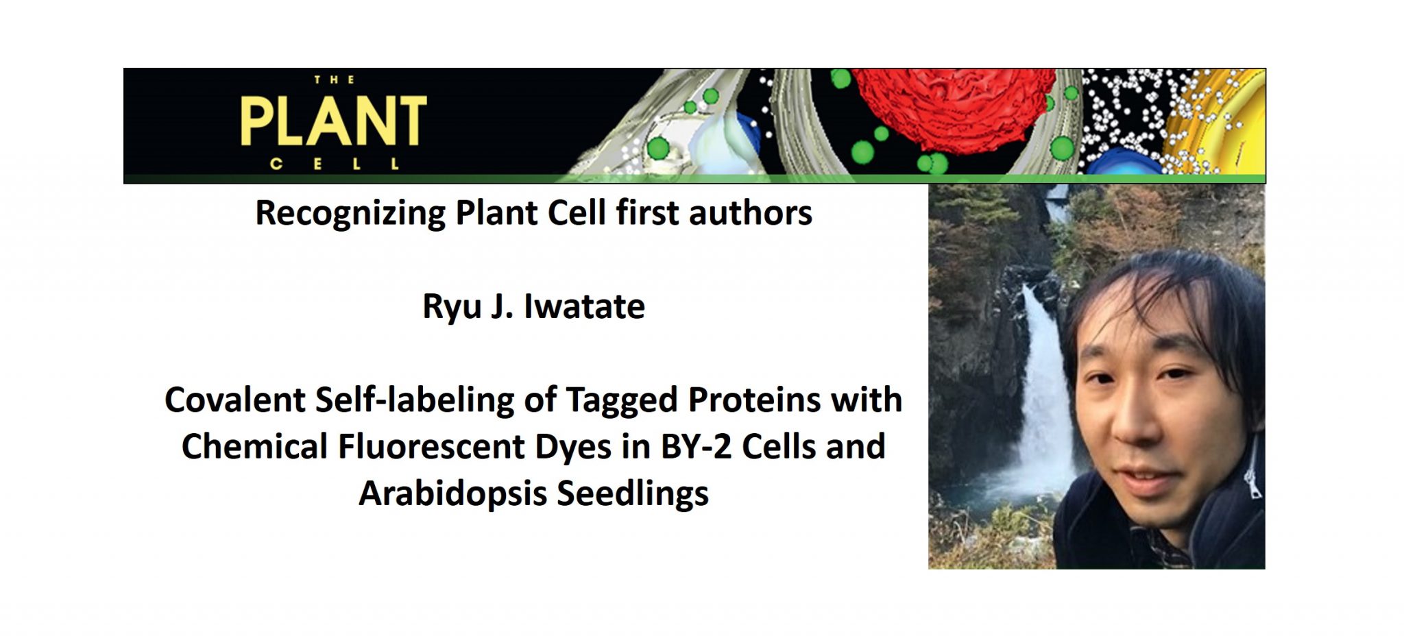 Recognizing Plant Cell authors: Ryu J. Iwatate | Plantae