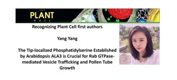 Recognizing Plant Cell authors: Yang Yang | Plantae