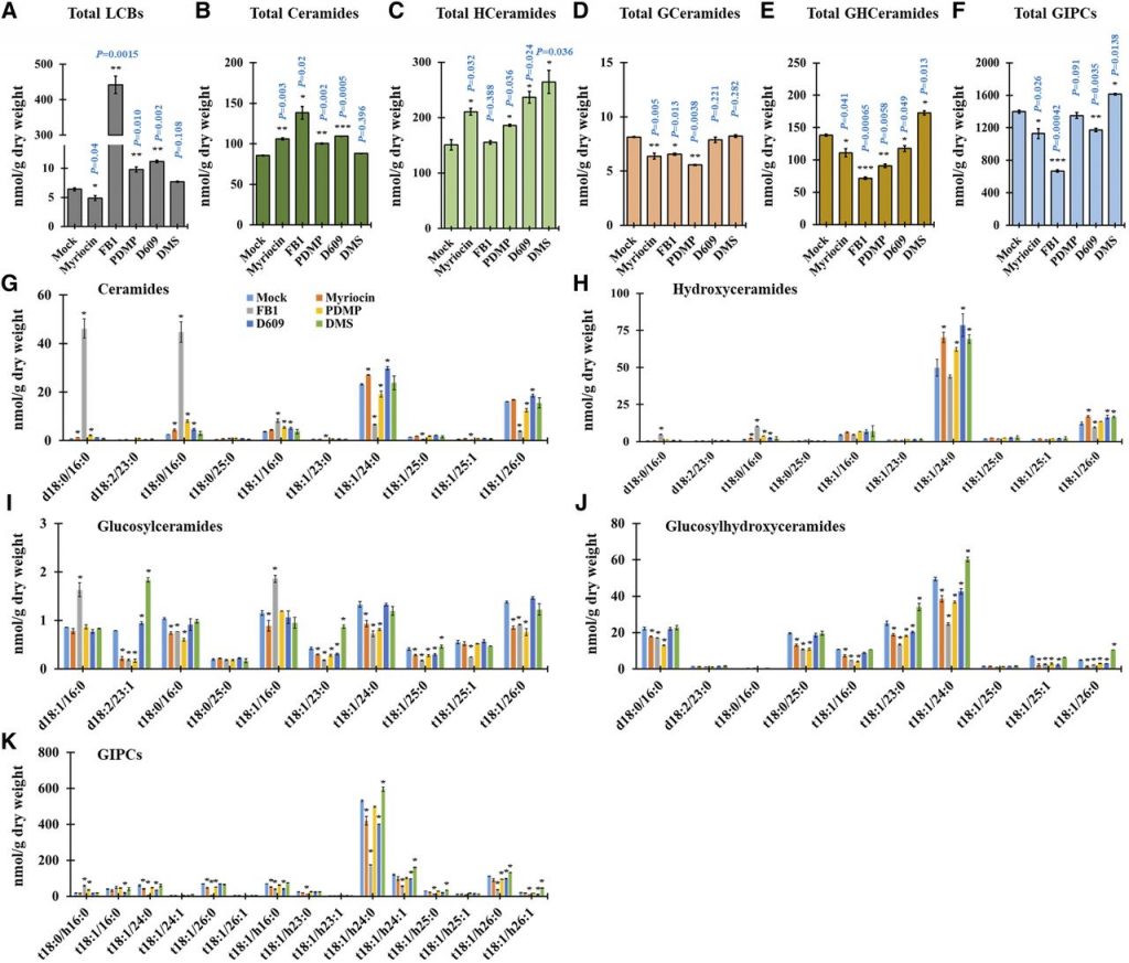 Sphingolipids And Plasmodesmata Plantae