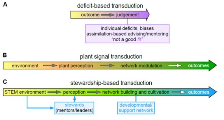 Plant Science Research Weekly: September 11, 2020 | Plantae