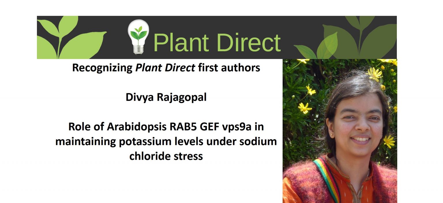 Recognizing Plant Direct authors: Divya Rajagopal | Plantae