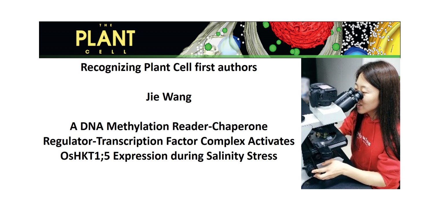 Recognizing Plant Cell authors: Jie Wang | Plantae