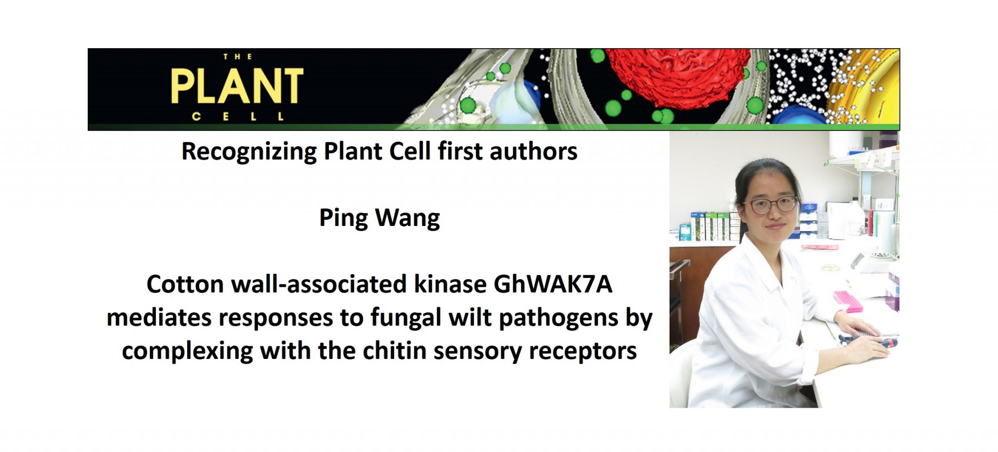 Recognizing Plant Cell authors: Ping Wang | Plantae