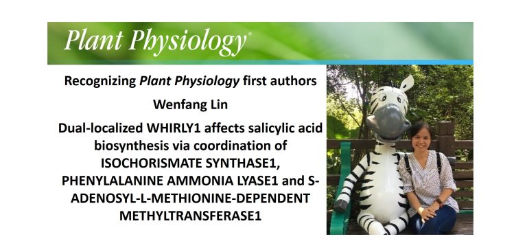 Recognizing Plant Physiology authors: Wenfang Lin | Plantae