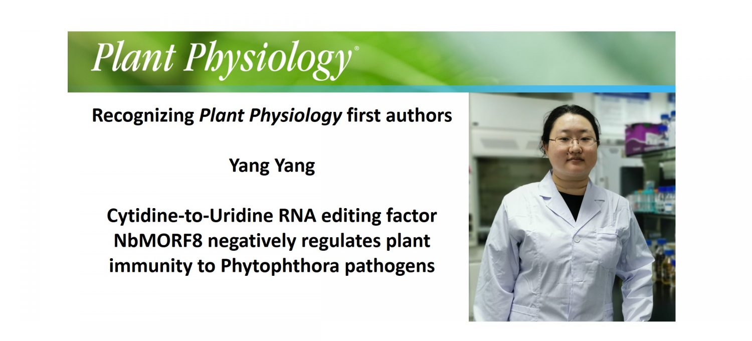 Recognizing Plant Physiology authors: Yang Yang | Plantae