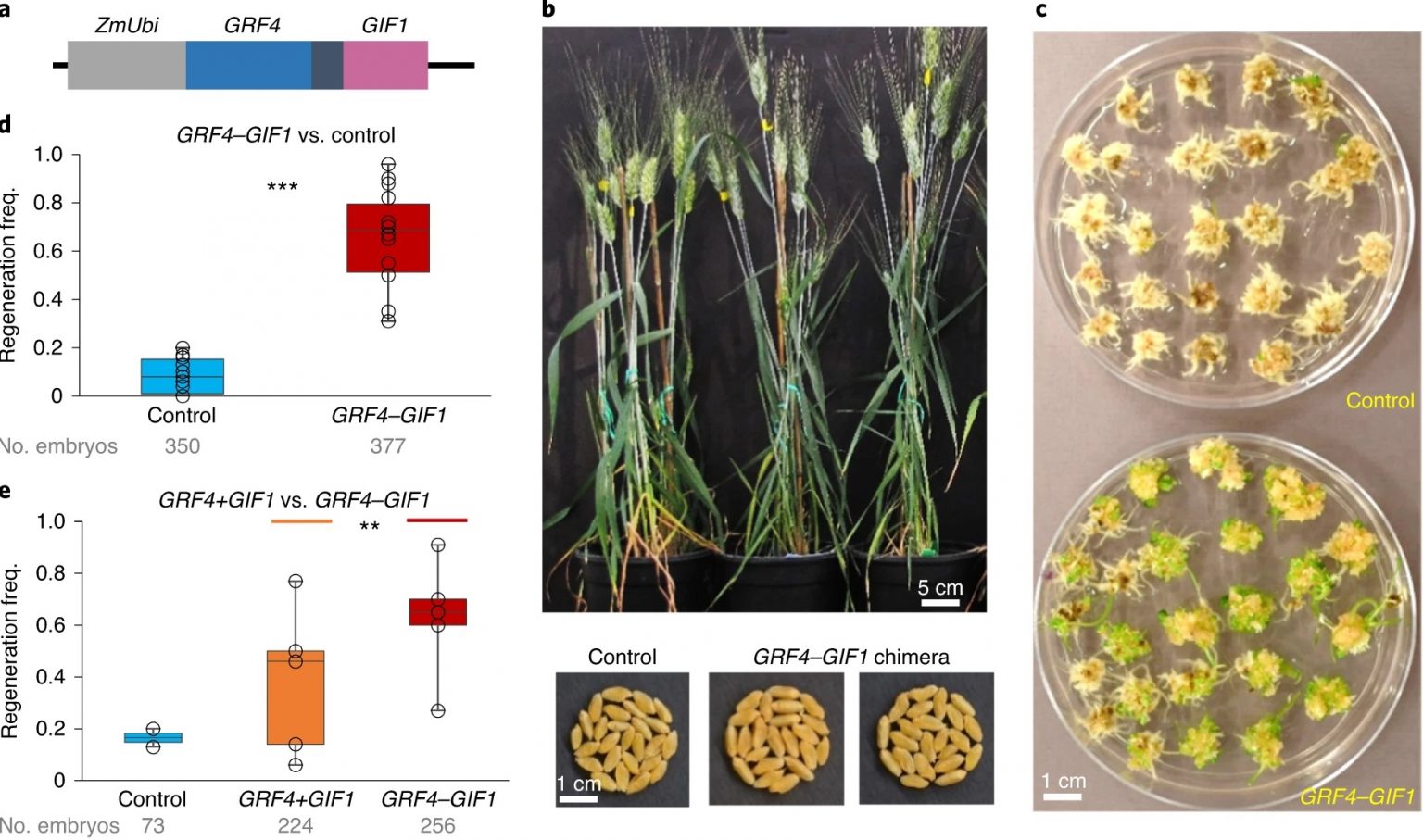 Plant Science Research Weekly: October 16, 2020 | Plantae