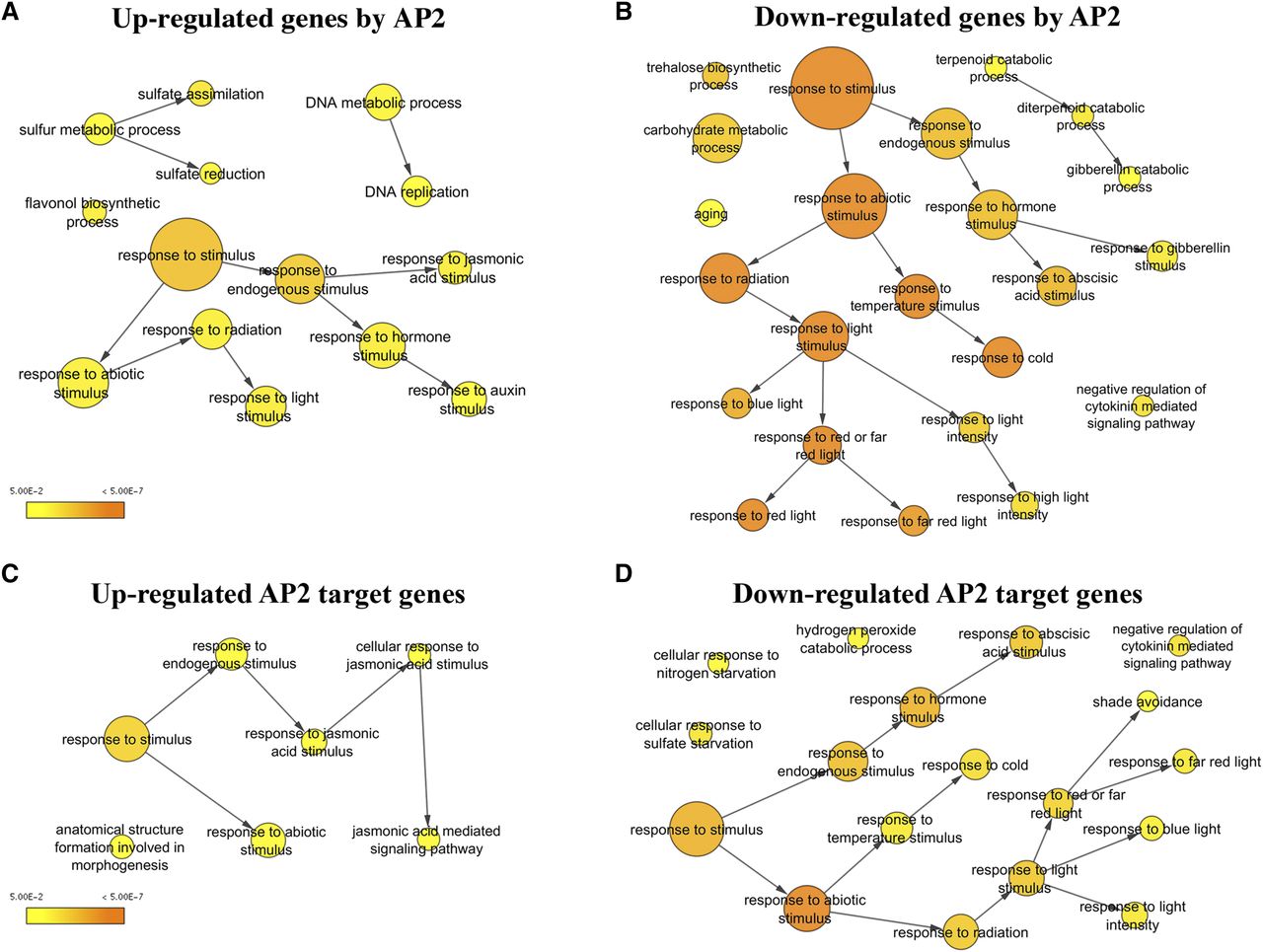 On the Inside: APETALA-2 and Meristem Arrest | Plantae