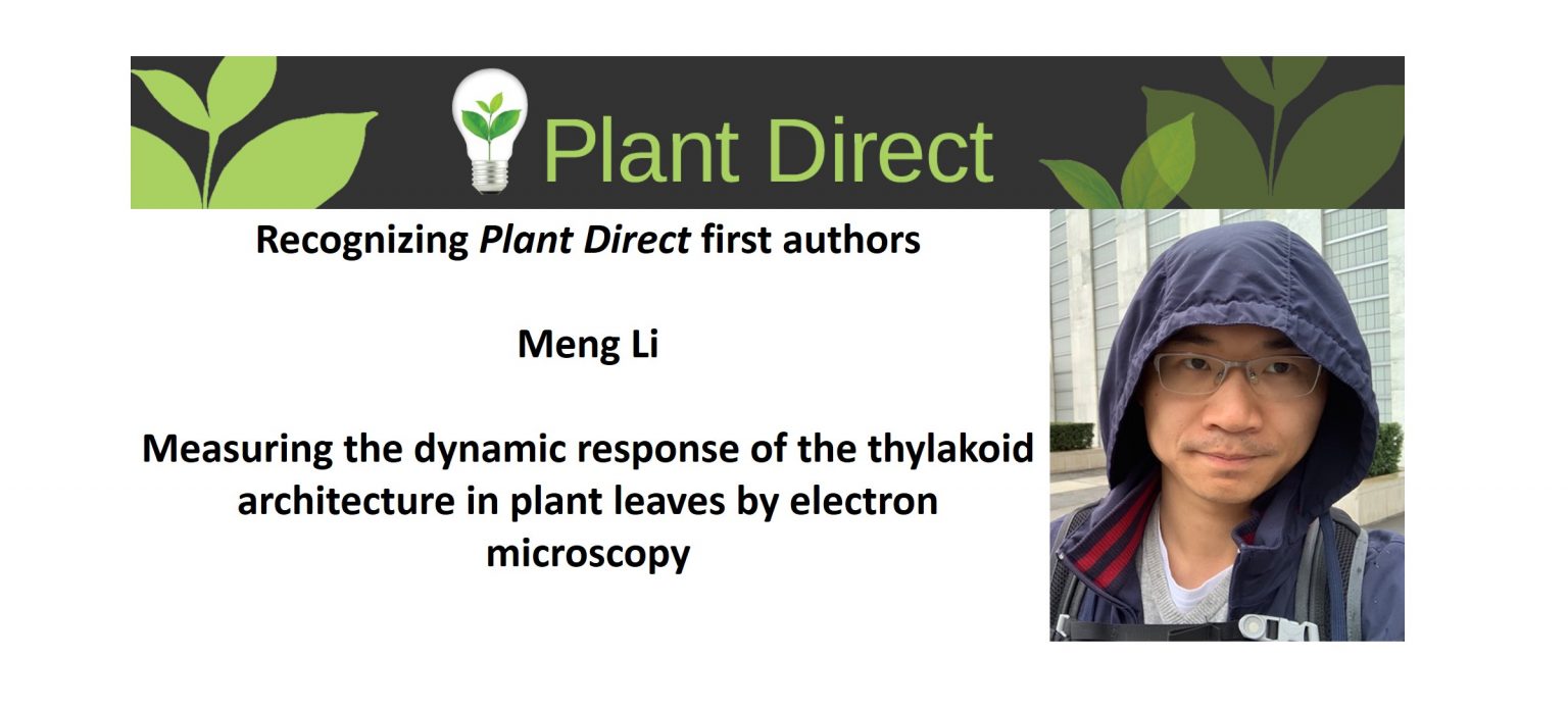 Recognizing Plant Direct authors: Meng Li | Plantae