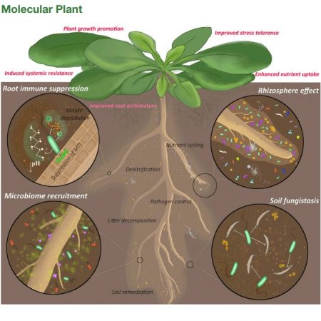 Plant Science Research Weekly: October 23, 2020 | Plantae