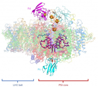Plant Science Research Weekly: October 30 | Plantae
