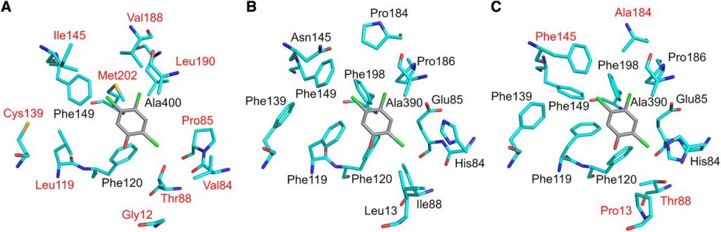 On the Inside: Biosynthesis of Trilobatin, a Natural Sweetener | Plantae