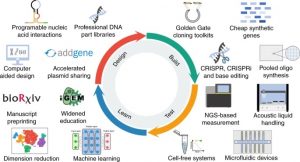 Review: The second decade of synthetic biology: 2010–2020 (Nature Comms ...