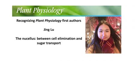 Recognizing Plant Physiology authors: Jing Lu | Plantae