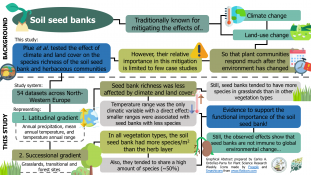 Buffering effects of soil seed banks on plant community composition in ...