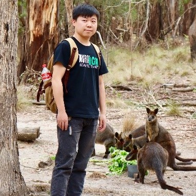 Recognizing Plant Cell authors: Bao Yang | Plantae