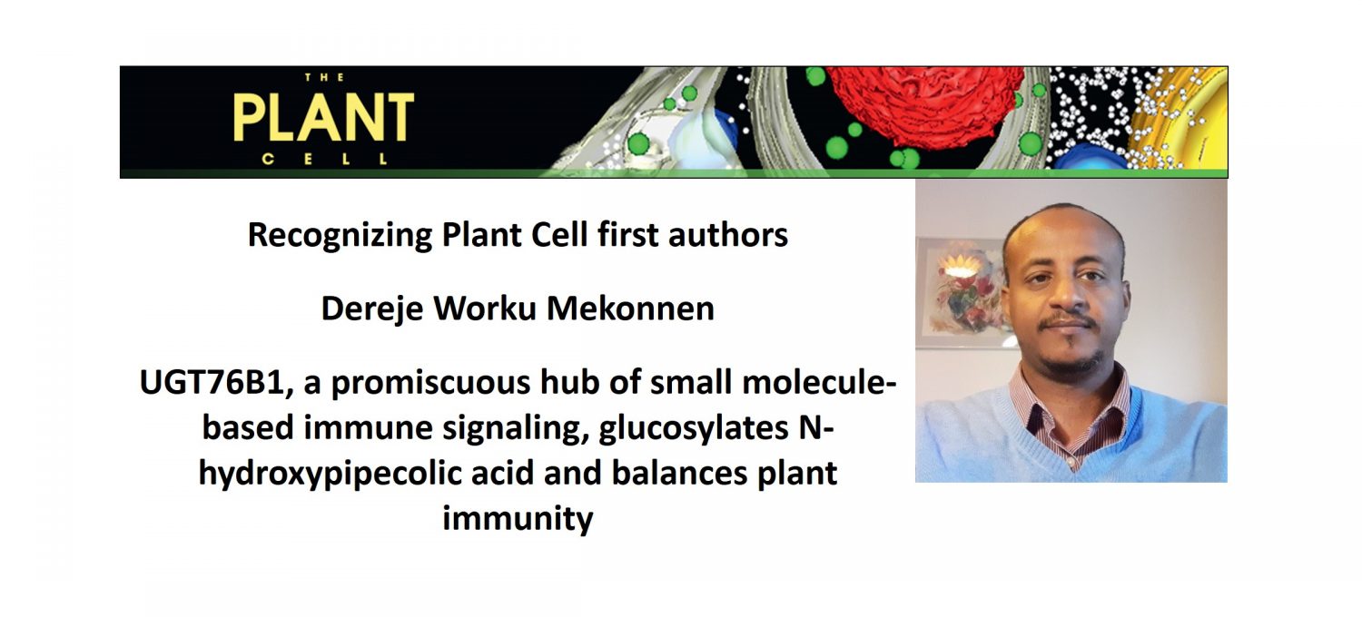 Recognizing Plant Cell authors: Dereje Worku Mekonnen | Plantae