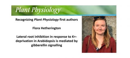 Recognizing Plant Physiology authors: Flora Hetherington | Plantae