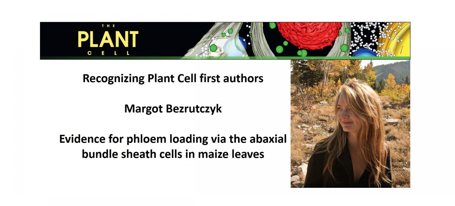 Recognizing Plant Cell authors: Margot Bezrutczyk | Plantae