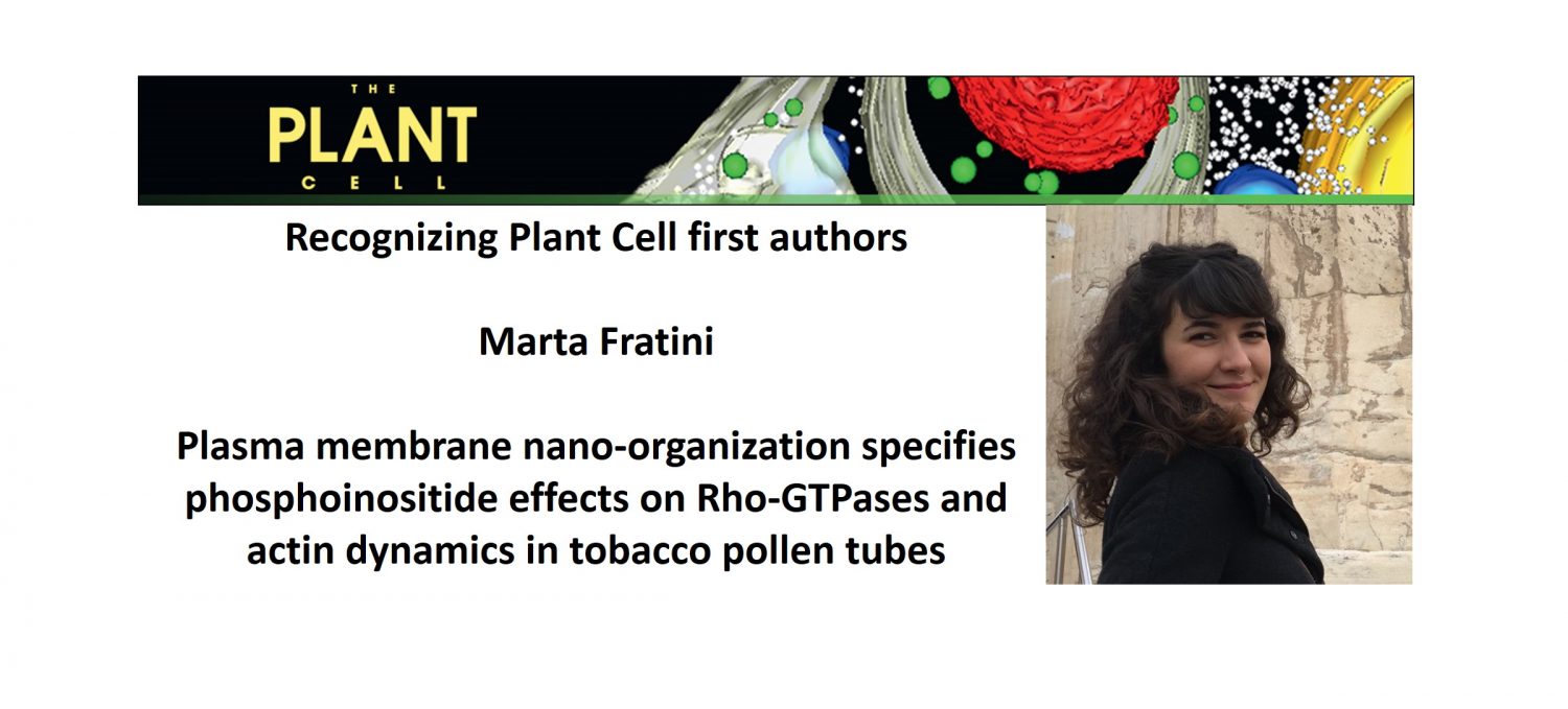 Recognizing Plant Cell authors: Marta Fratini | Plantae