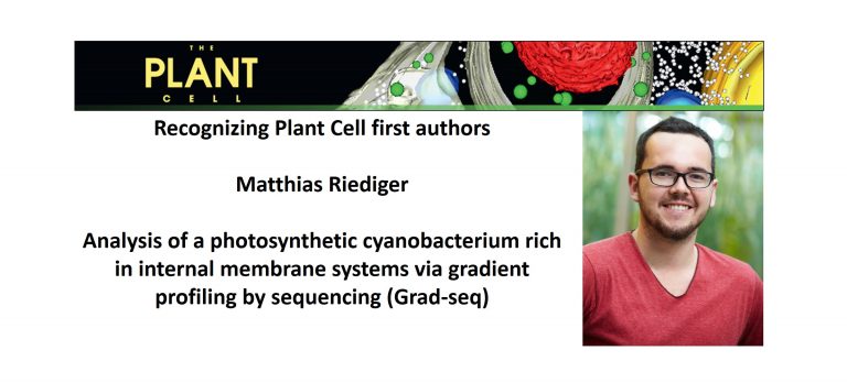 Recognizing Plant Cell authors: Matthias Riediger | Plantae