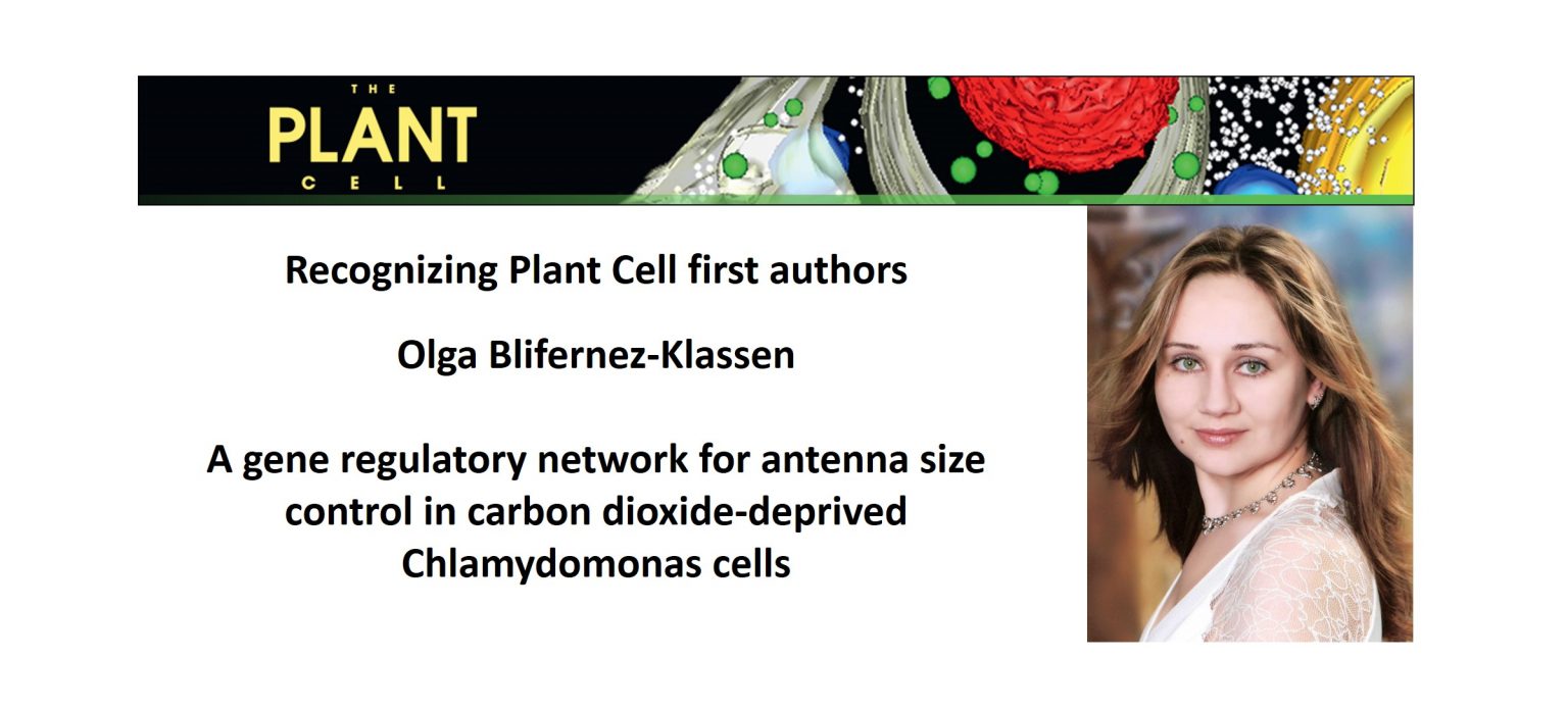 Recognizing Plant Cell authors: Olga Blifernez-Klassen | Plantae