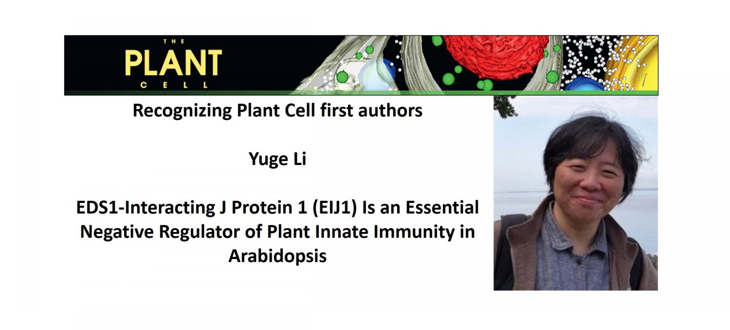 Recognizing Plant Cell authors: Yuge Li | Plantae