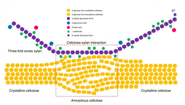 Plant Science Research Weekly: December 11, 2020 | Plantae