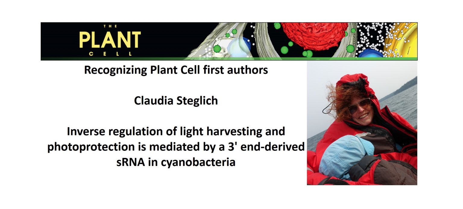 Recognizing Plant Cell authors: Claudia Steglich | Plantae