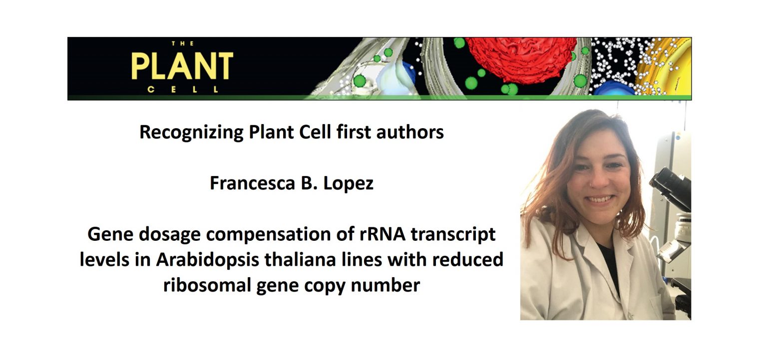 Recognizing Plant Cell authors: Francesca B. Lopez | Plantae